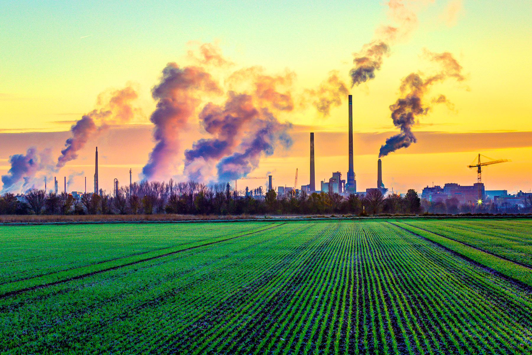 Stikstofproblematiek in Lage Laden | Medibib